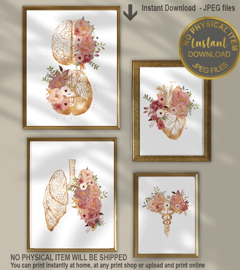 Anatomy Art Set of 4 Medical Art Set Medical School Gift - Etsy