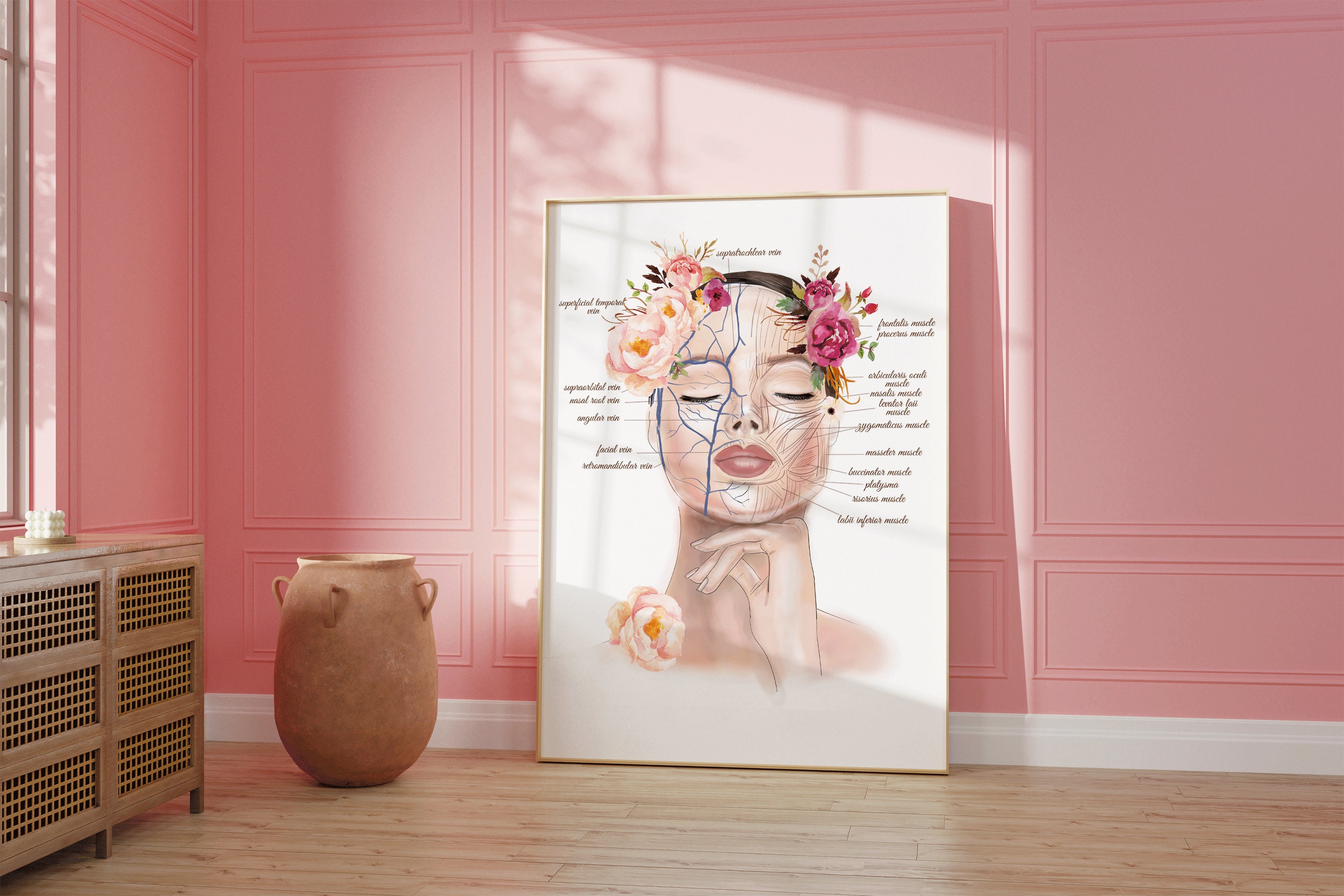 Face Anatomy Poster Facial Muscles and Veinsesthetician Art - Etsy Canada