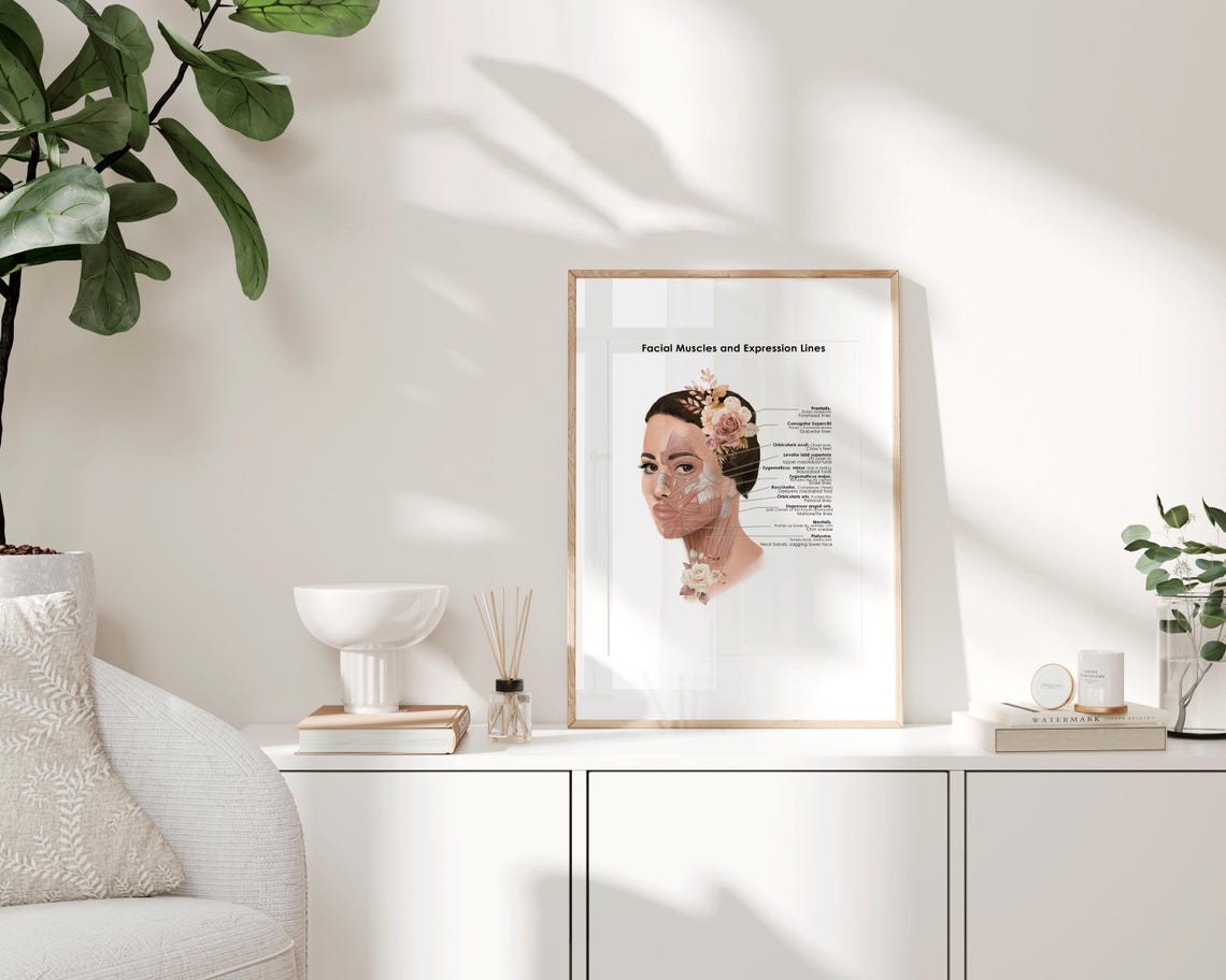 Facial Anatomy Art Print | Facial Muscles & Expression Lines Poster ...