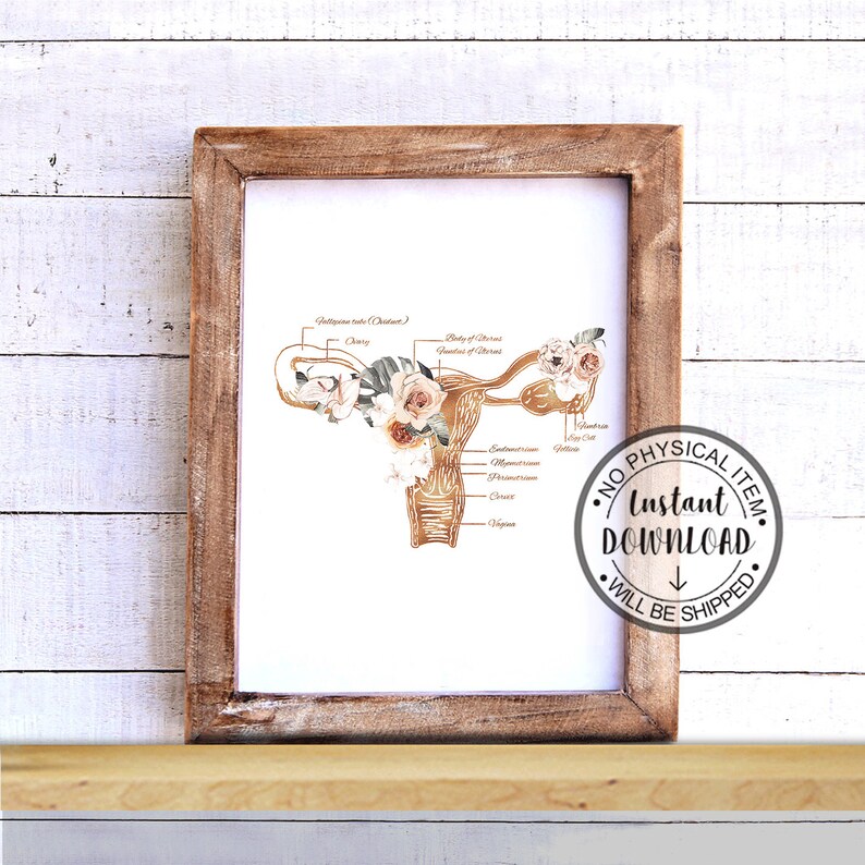 Floral Uterus Art, Uterus Anatomy Print, Female Reproductive System ...