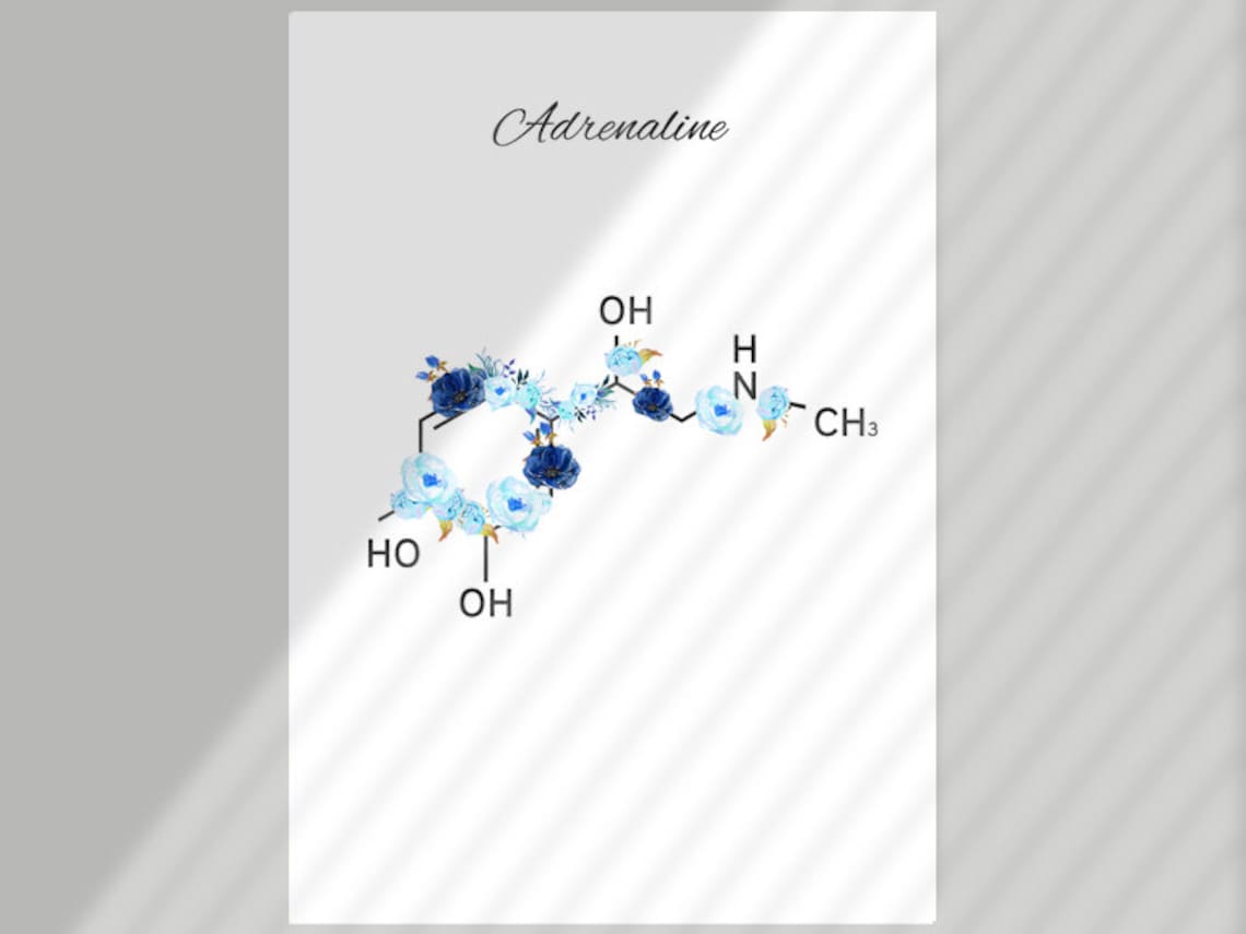 Adrenaline Molecule, Chemistry Gift, Adrenaline Poster, Neurochemistry ...