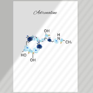 Adrenaline Molecule, Chemistry Gift, Adrenaline Poster, Neurochemistry ...