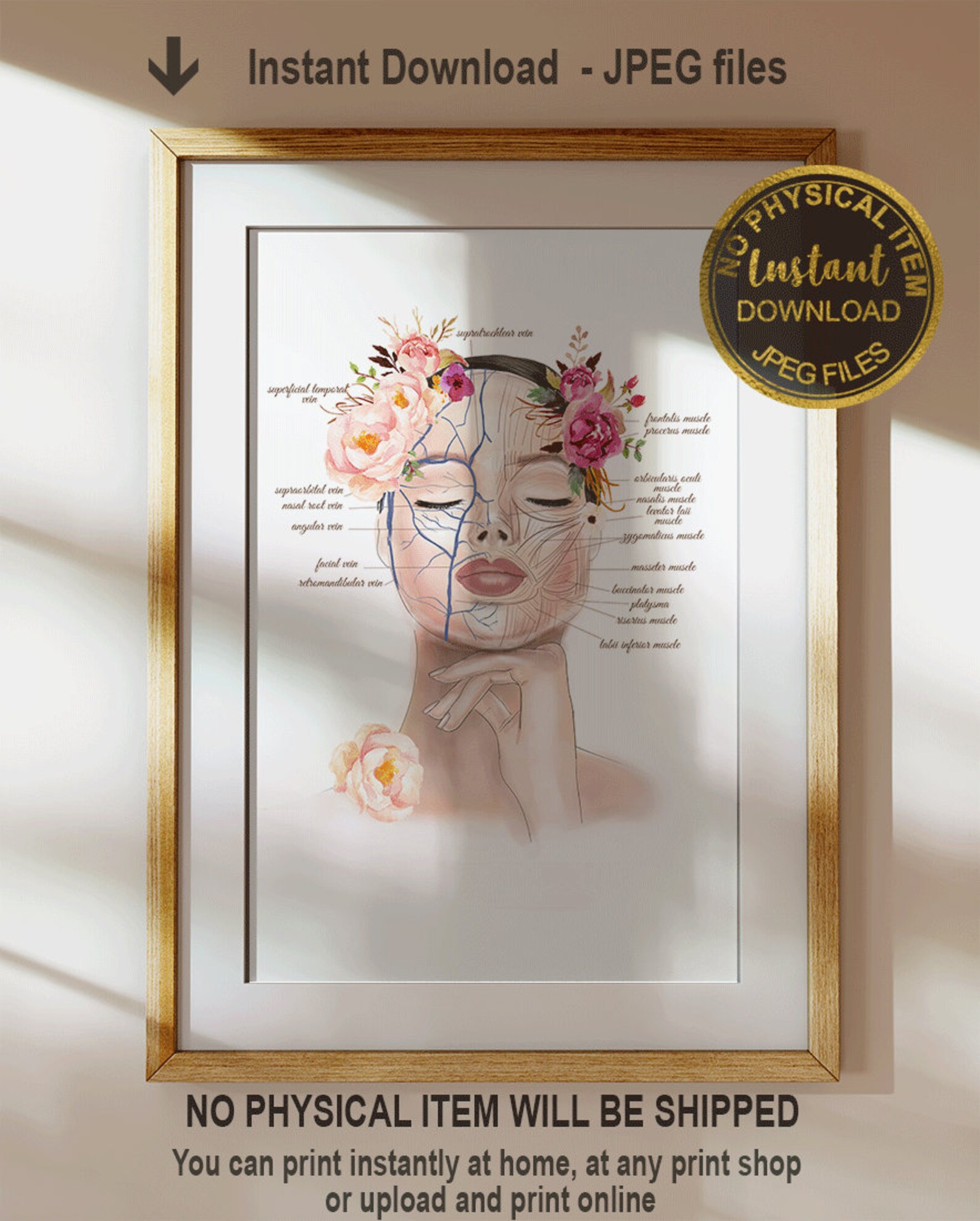 Face Anatomy Poster Facial Muscles and Veinsesthetician Art - Etsy