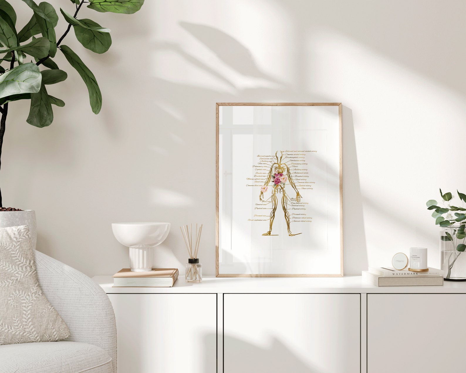 Circulatory System, Anatomy Art, Medical Art, Blood Vessels ...