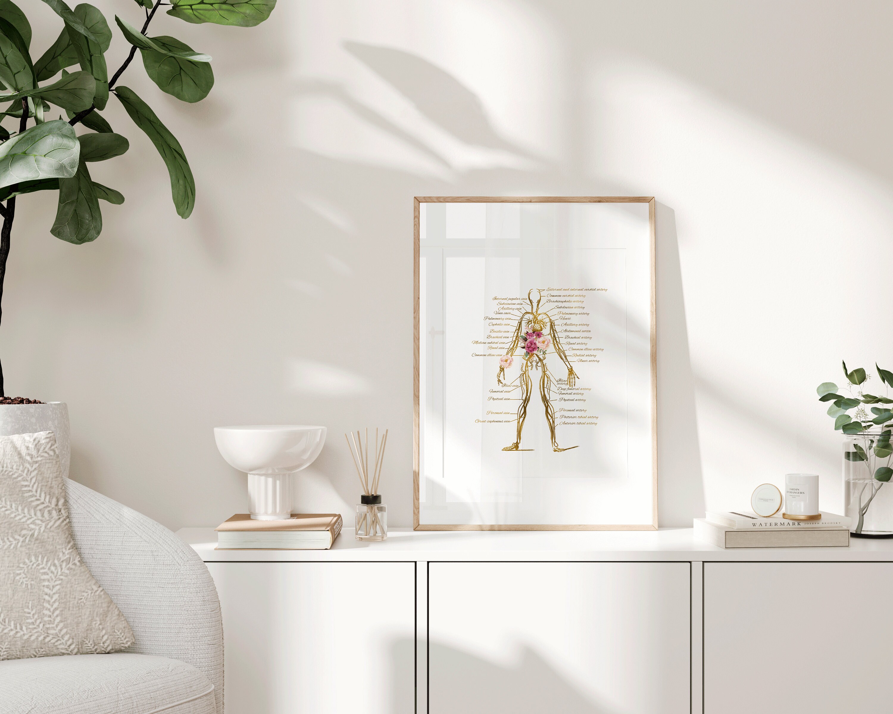 Circulatory System, Anatomy Art, Medical Art, Blood Vessels ...
