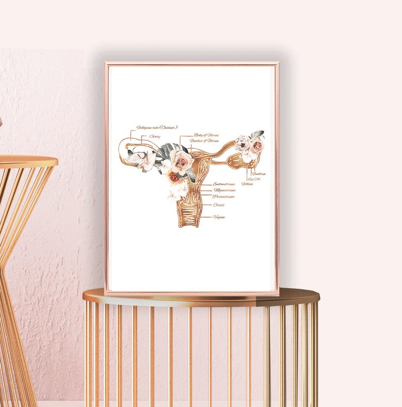 Floral Uterus Art Uterus Anatomy Print Female Reproductive - Etsy