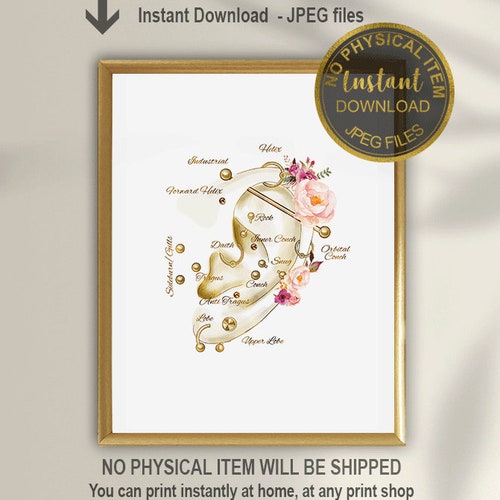 Ear Piercing Chart Art Print Piercing Poster Piercings | Etsy