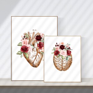 Anatomy Art Set Flower Anatomy Print Medical Art Print Set | Etsy