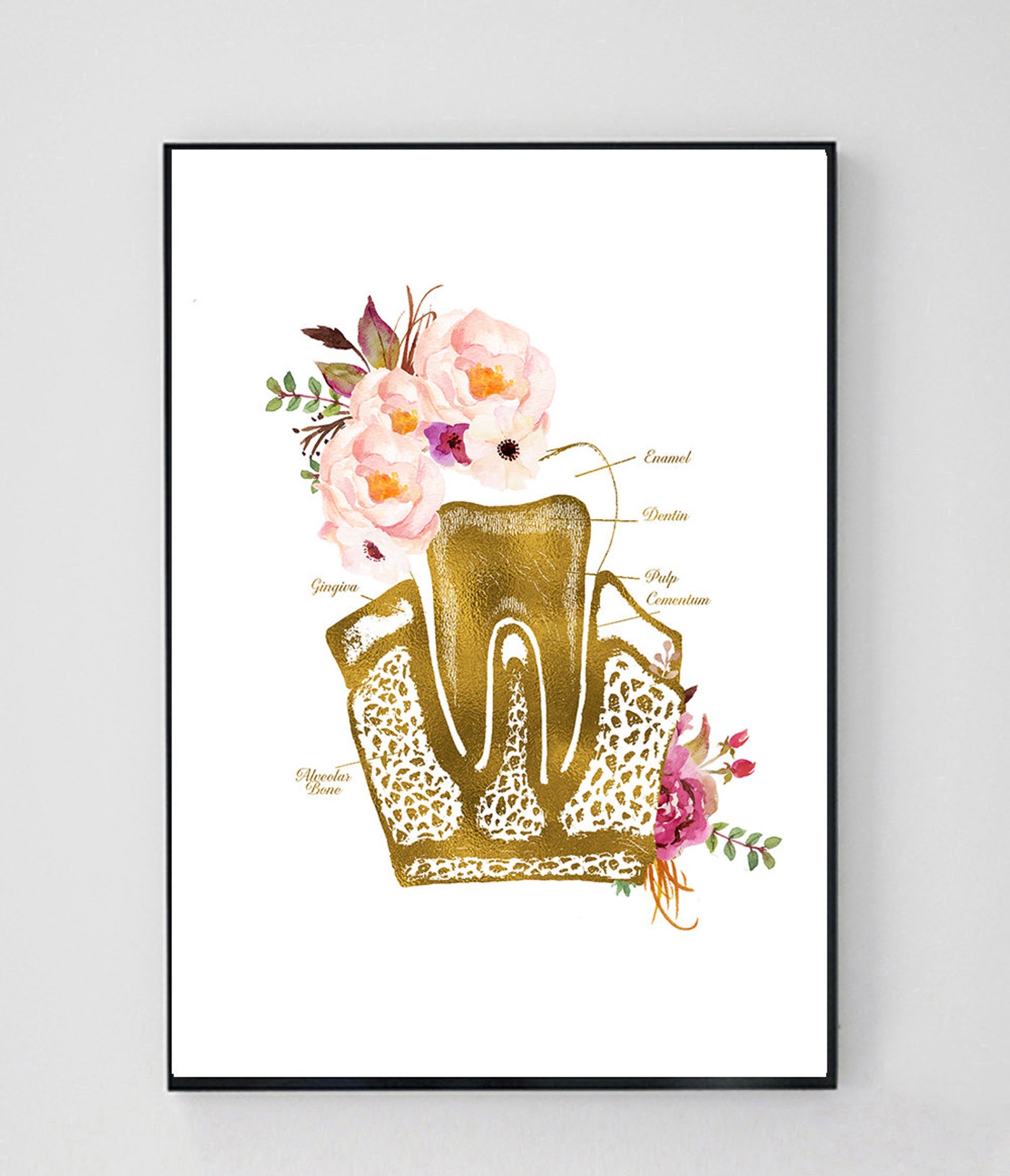 Tooth Anatomy Art Tooth Art Dental Assistant Gift Dental | Etsy