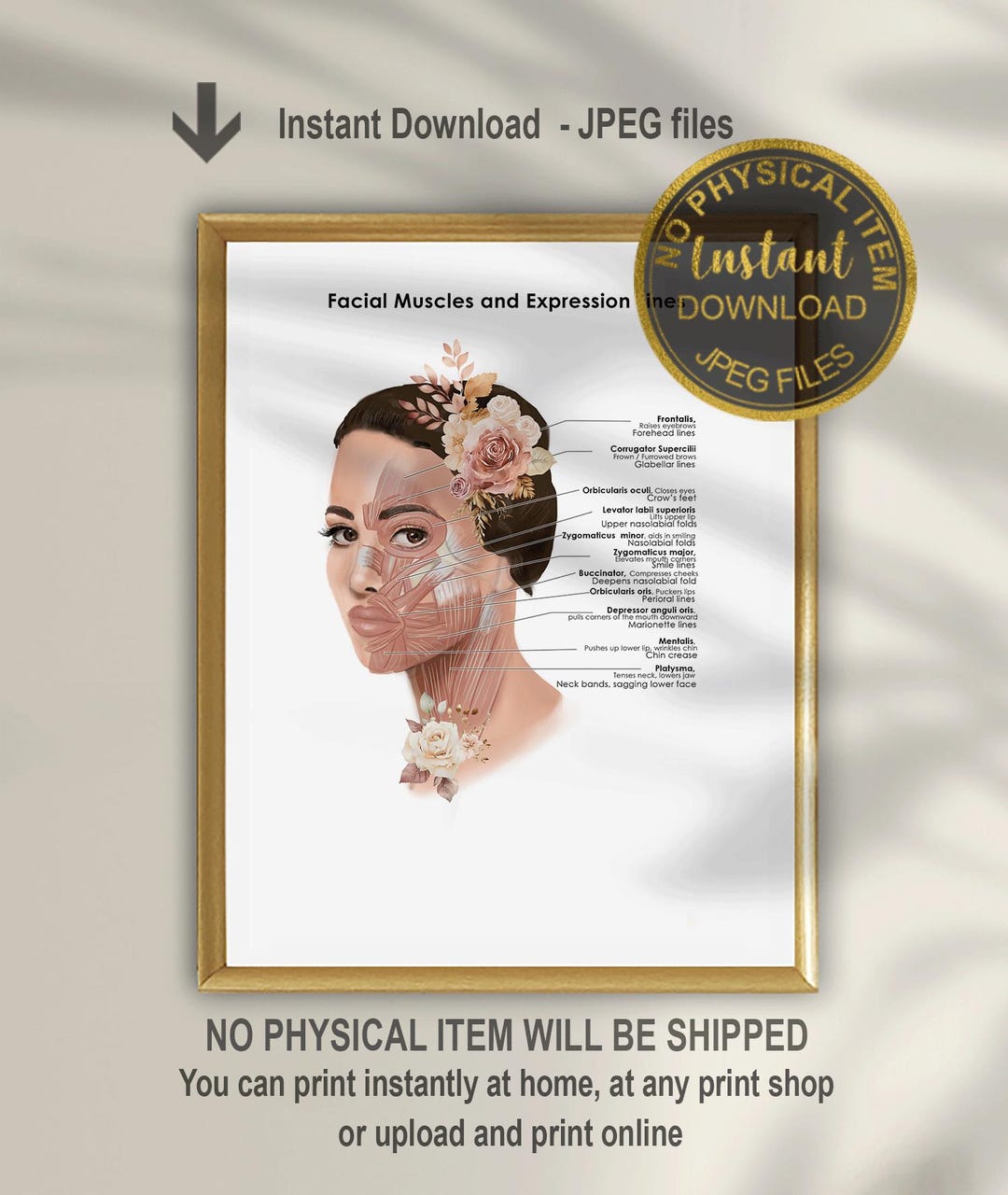 Facial Muscles and Expression Lines | Esthetician Anatomy Print ...