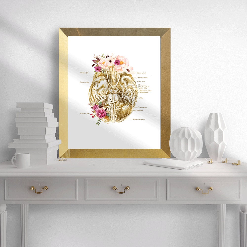 Human Brain Anatomy Brain Art Neurologist Office Decor | Etsy