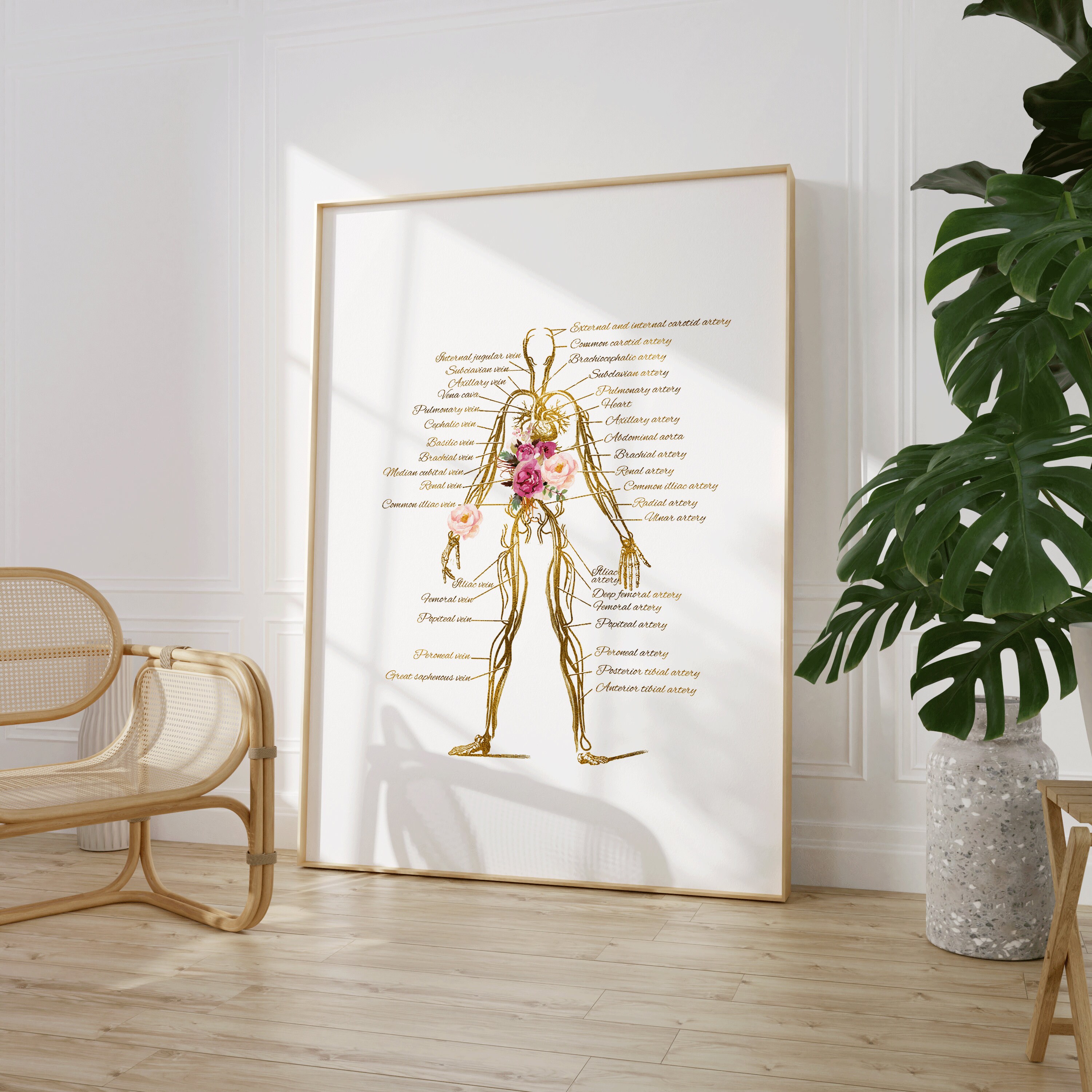 Circulatory System, Anatomy Art, Medical Art, Blood Vessels ...