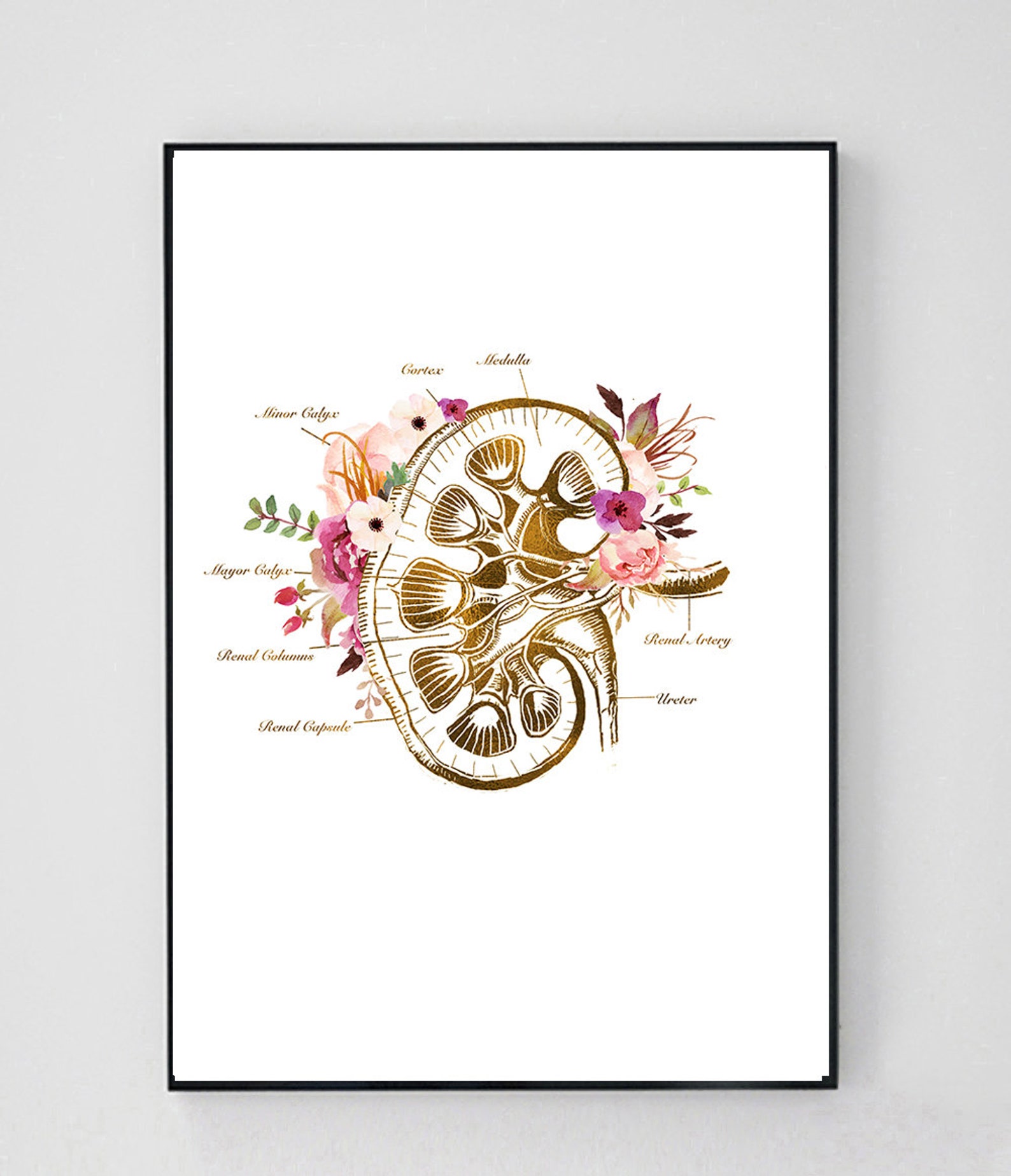 Kidney Print Urologist Office Decor Kidney Anatomy Art - Etsy