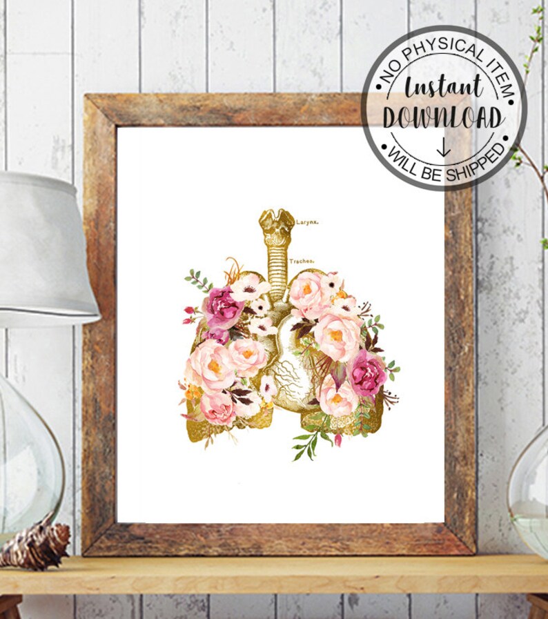 Human Anatomy Art Print Lungs Art Respiratory System | Etsy