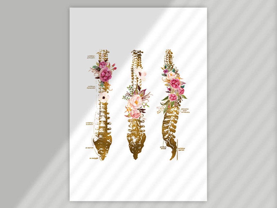 Anatomy Art Orthopedic Surgeon Print Orthopedic Nurse Bone - Etsy