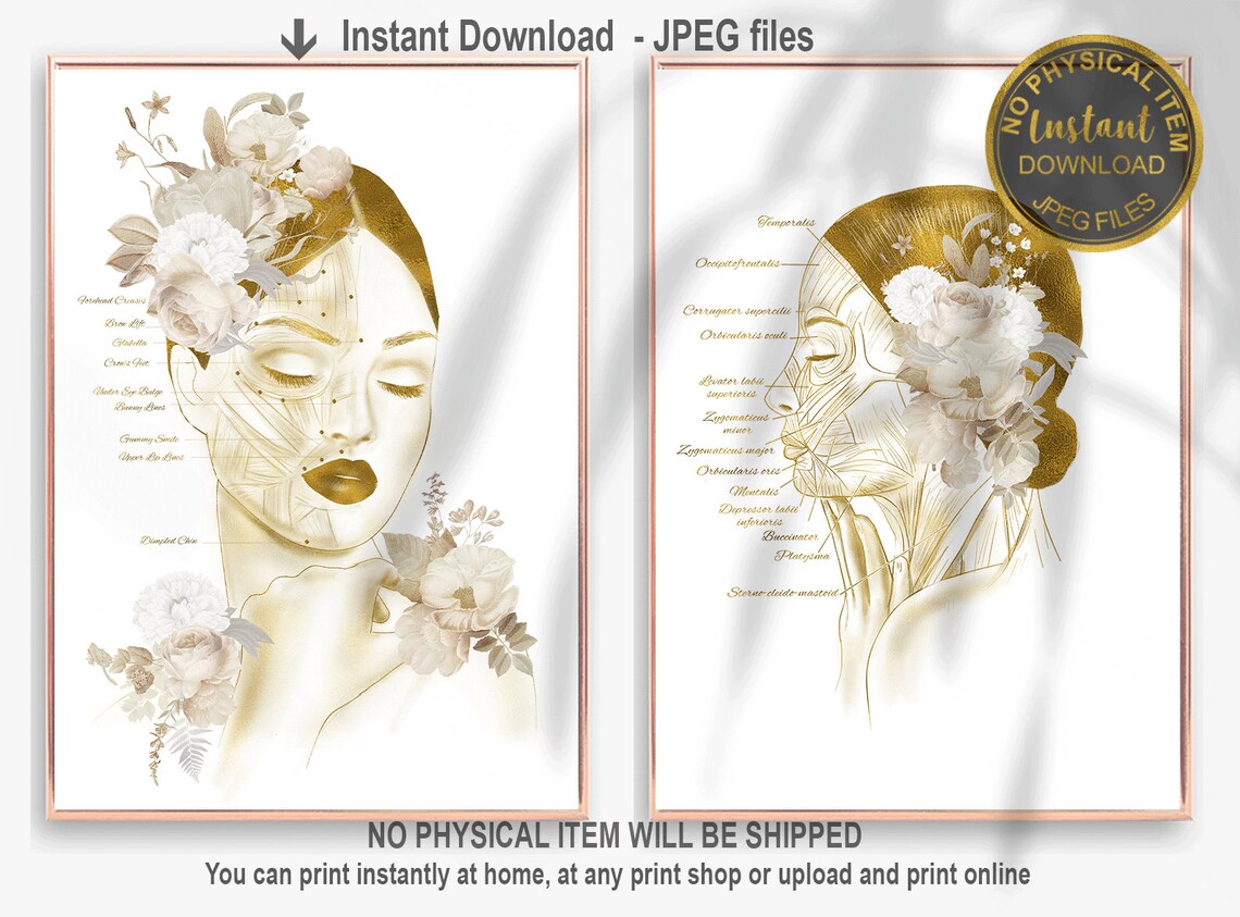Woman Facial Muscles Posters Human Anatomy Printable Art - Etsy