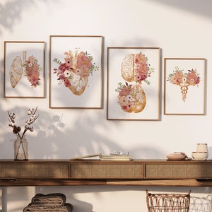 Anatomy Art Set of 4, Medical Art Set, Medical School Gift, Medical ...