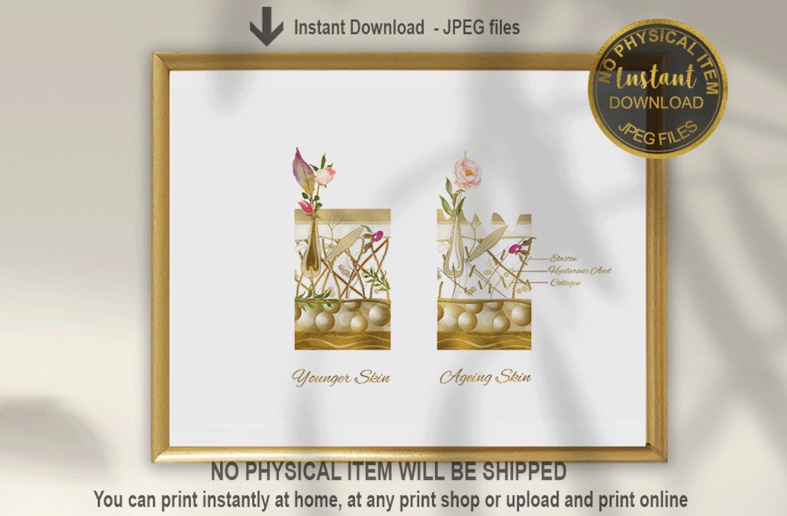 Dermatology Art Print, Skin Art, Younger and Ageing Skin Print ...