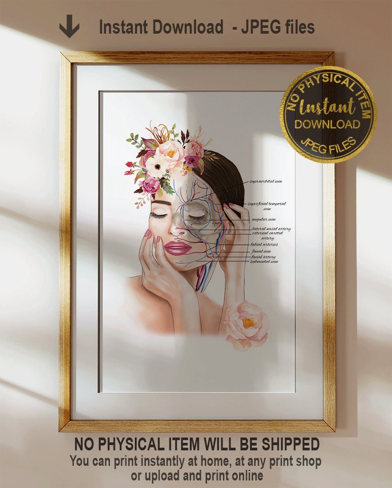 Facial Arteries and Veins Art Aesthetics Clinic Decor - Etsy