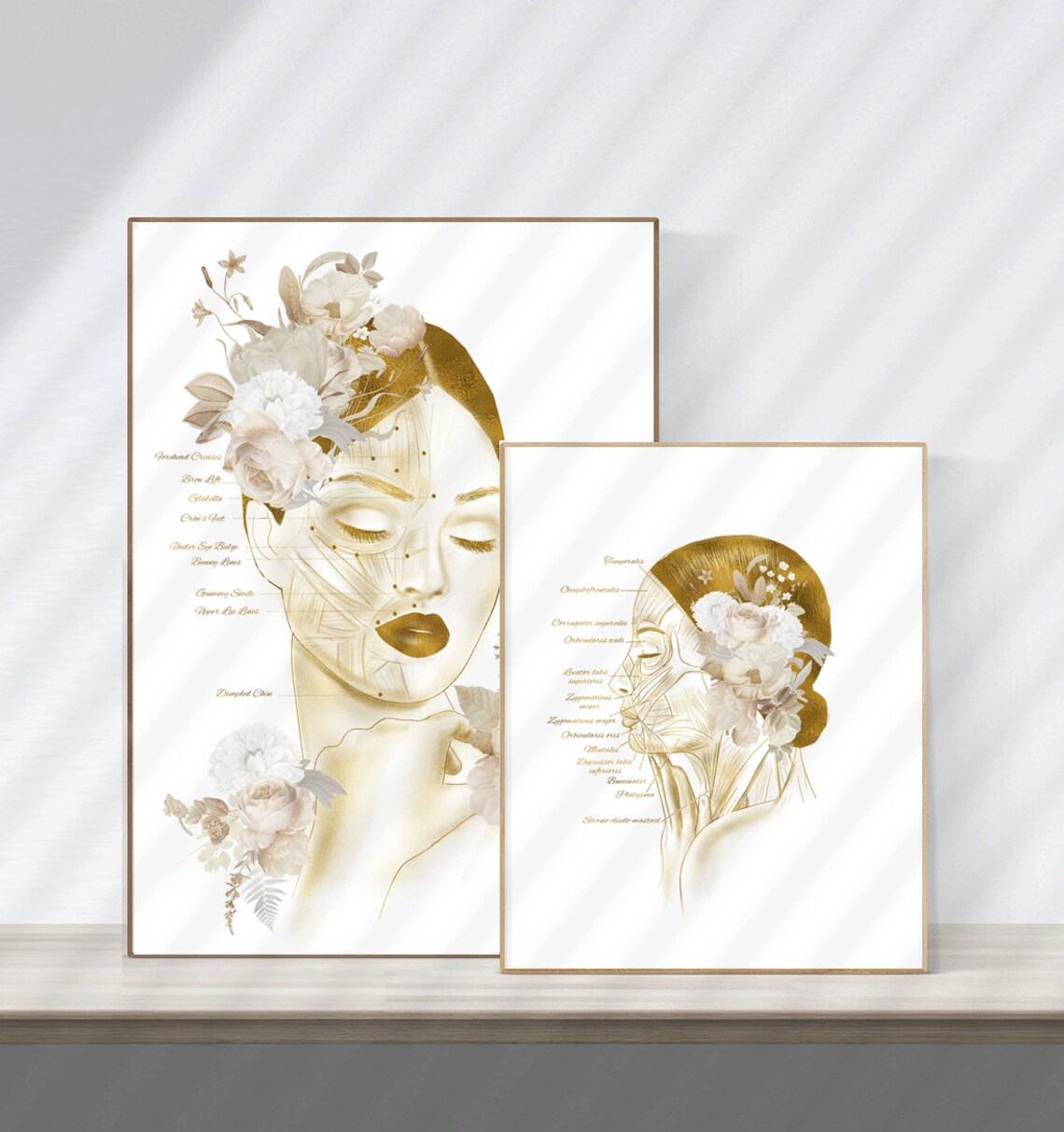 Woman Facial Muscles Posters Human Anatomy Printable Art - Etsy