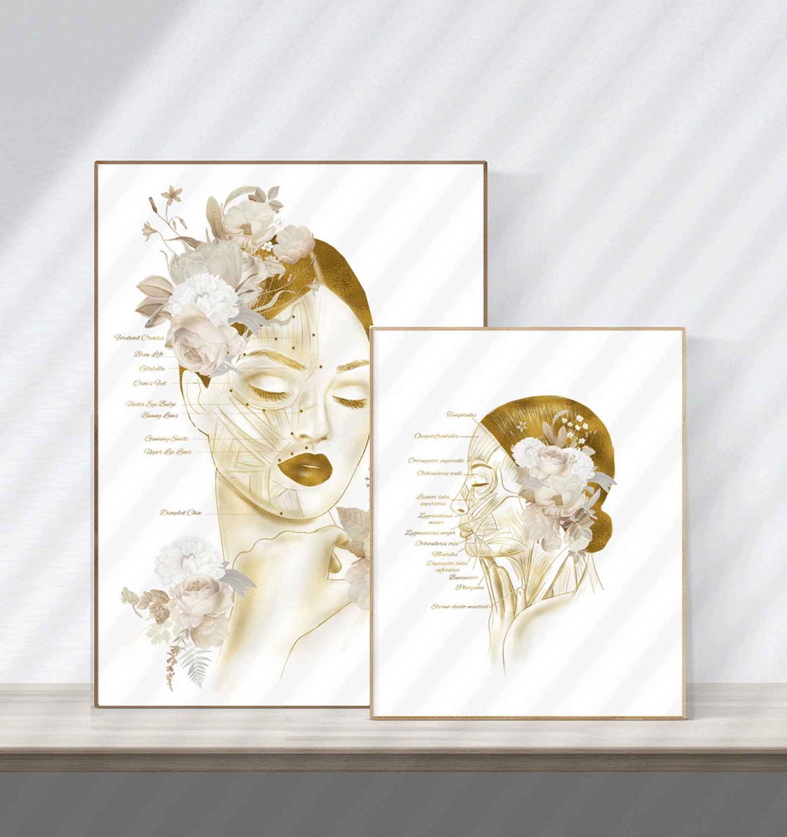 Woman Facial Muscles Posters Human Anatomy Printable Art - Etsy