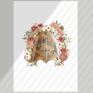 Floral Dental Art Set Dental Instruments Print Tooth Anatomy | Etsy