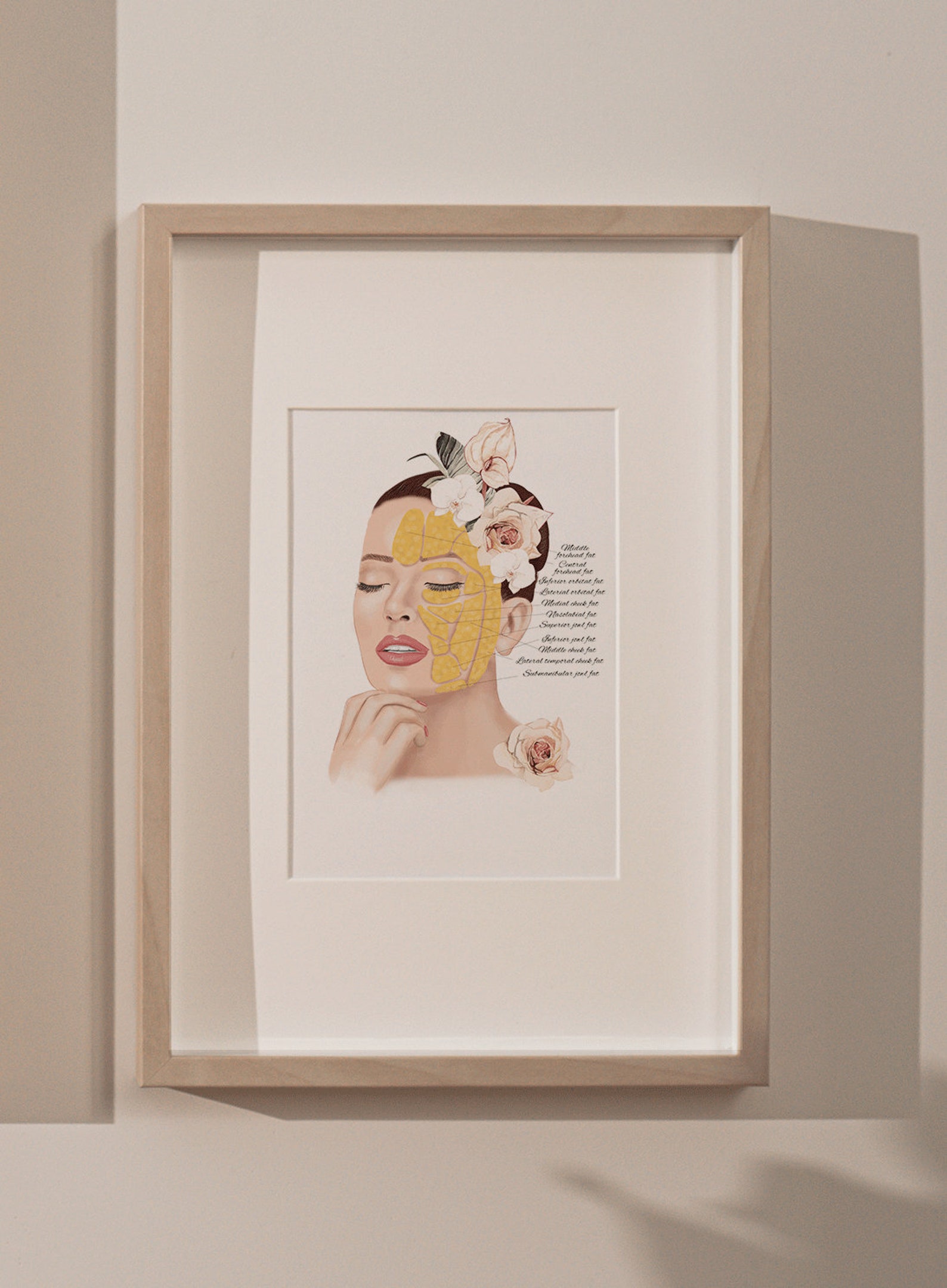 Fat Pads of the Face Anatomy Aesthetics Decor Nurse - Etsy