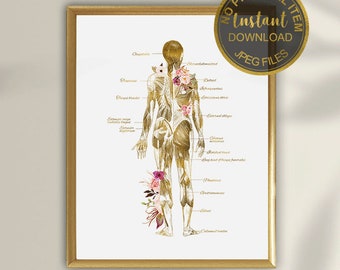 Muscle Chart Poster, Anatomy Diagram, Bodybuilding Poster - Etsy Israel