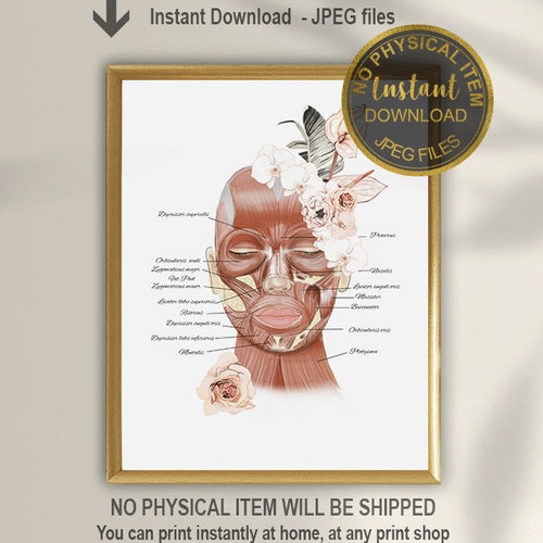 Facial Muscles Anatomy Art Poster Botox and Filler Injector - Etsy Facial Muscles Anatomy Art Poster Botox and Filler Injector - Etsy