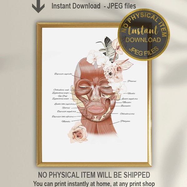 Facial Anatomy Poster for Injectors - Etsy