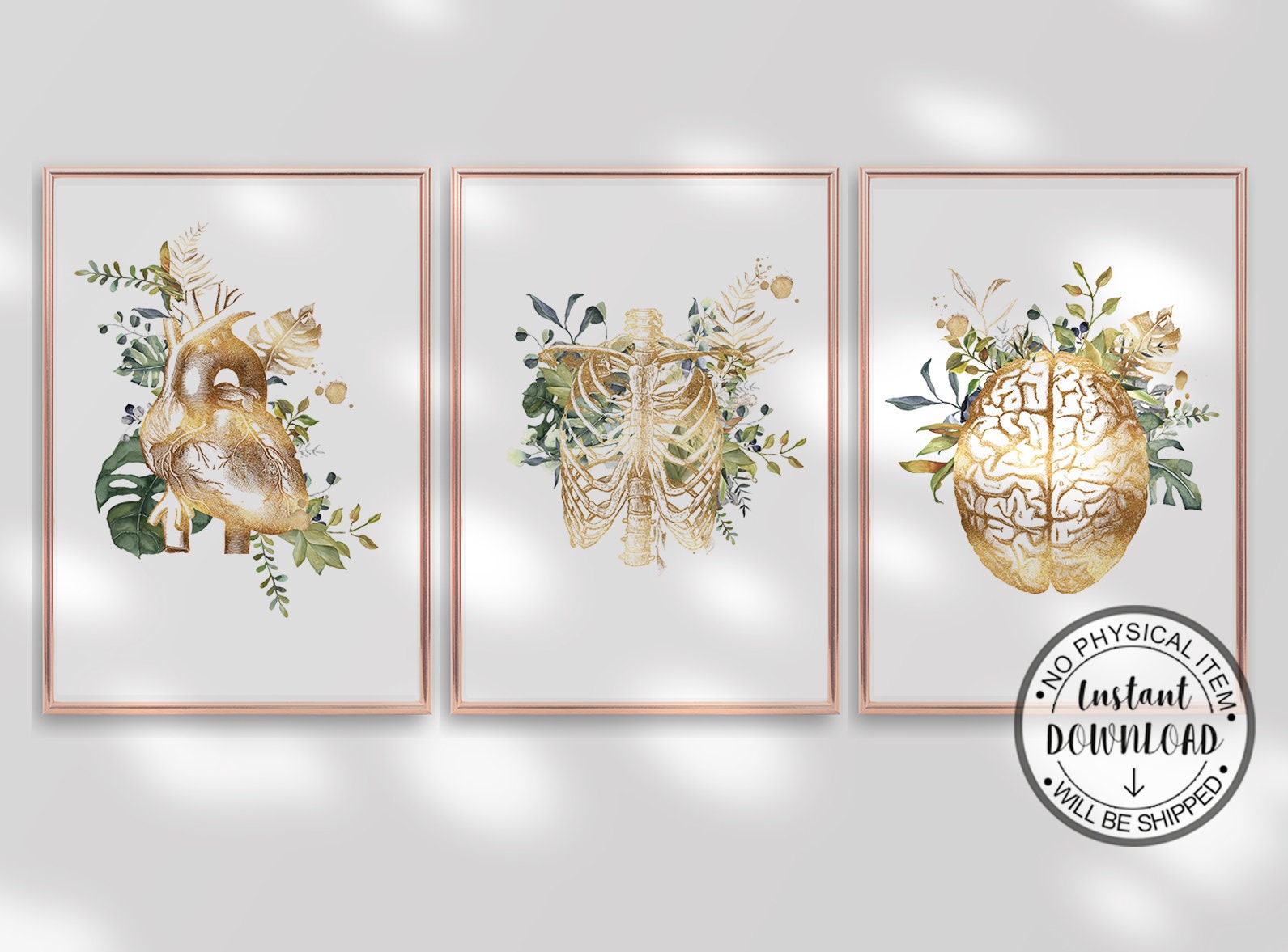 Medical Art Set Floral Anatomy Art Doctor Office Decor - Etsy