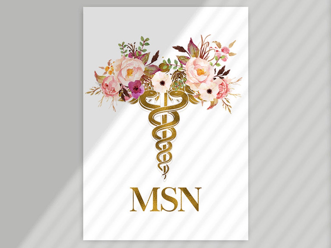 MSN Master of Science in Nursing School Grad Masters in | Etsy MSN Master of Science in Nursing School Grad Masters in | Etsy