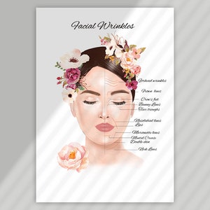Facial Wrinkles Chart Print Esthetician Decor Skin Cllinic - Etsy