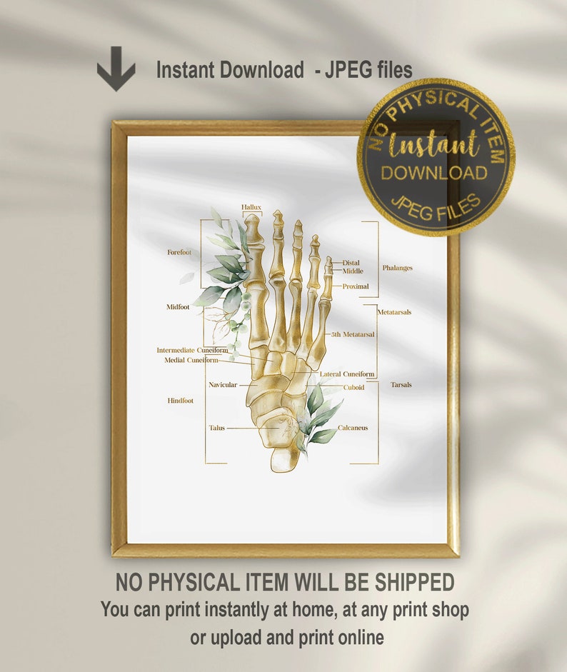 Foot Anatomy Art Print, Podiatrist Office Decor, Foot Bones Anatomy ...