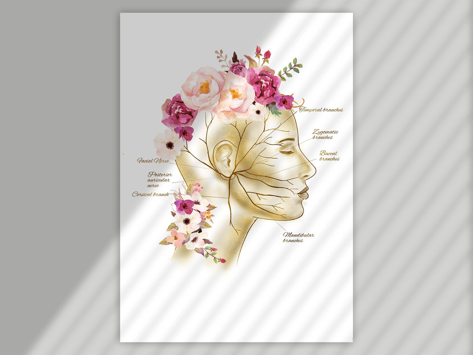 The Nerves of Face Art, Nerves Poster, Botox Art, Esthetician Print ...