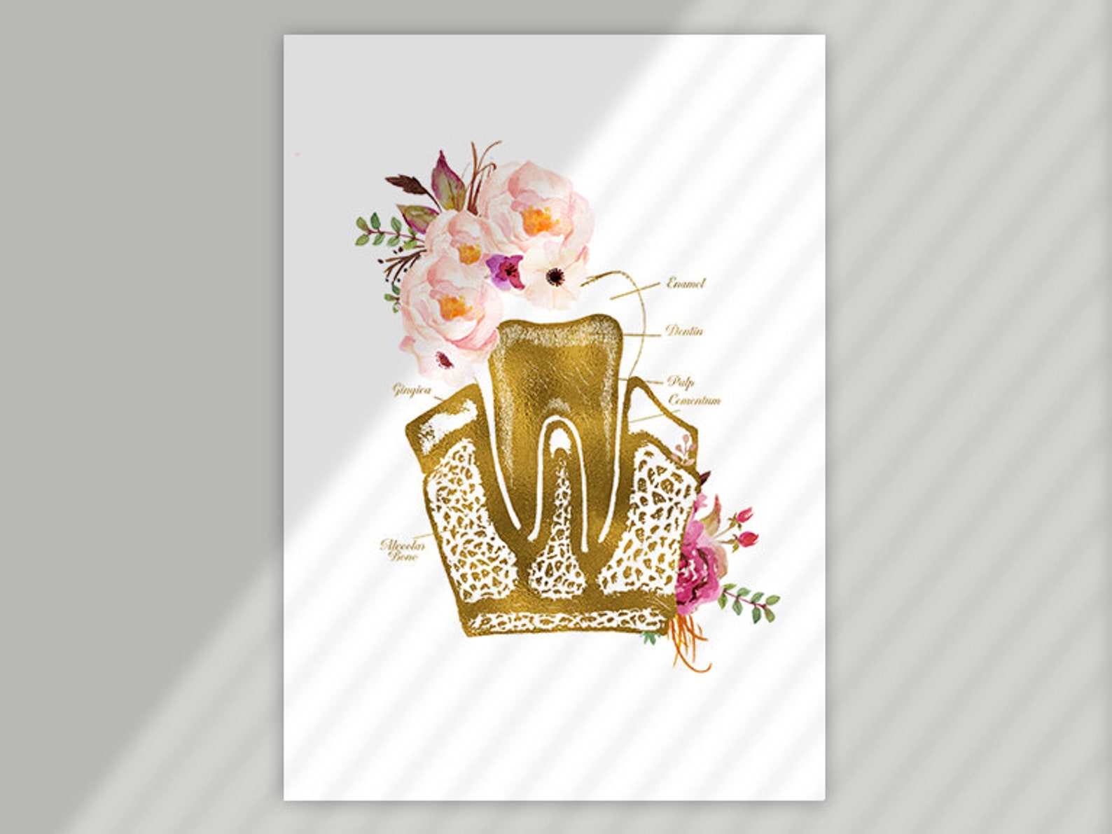 Tooth Anatomy Art Tooth Art Dental Assistant Gift Dental | Etsy