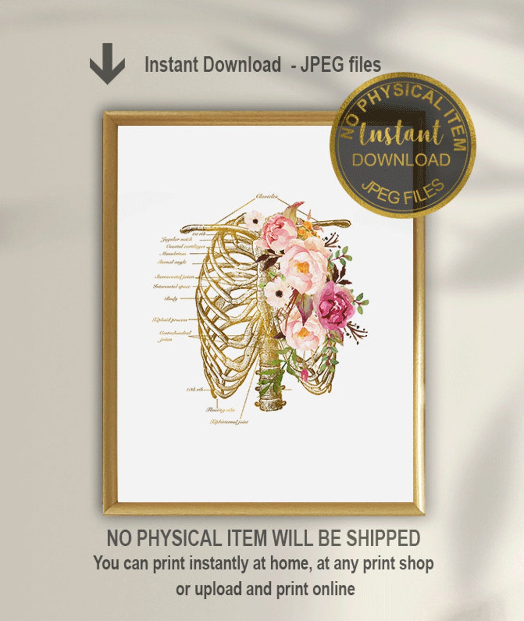 Rib Cage Anatomy Art, Skeleton Rib Cage, Chest Skeleton Art, Skeleton ...