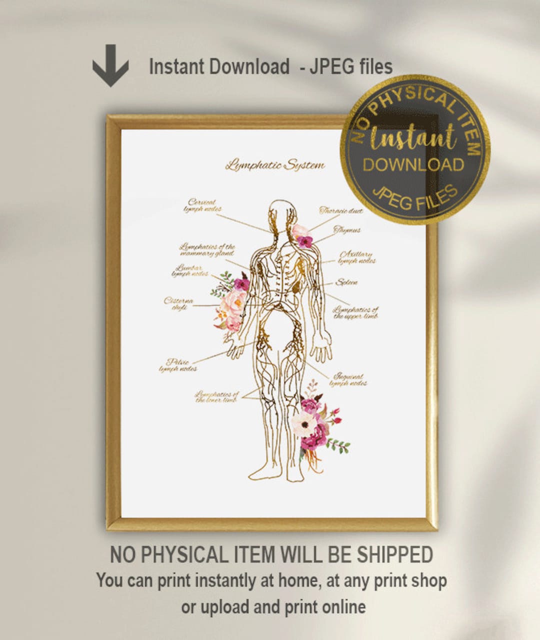 Lymphatic System Print, Endocrinology Print, Lymph Nodes Anatomy Art ...