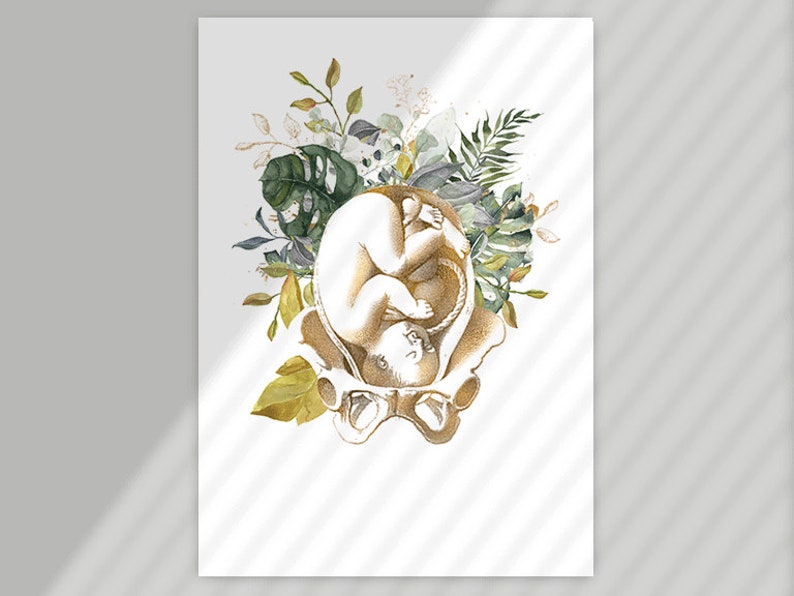 Midwife Art, Pregnancy Art Print, Doula Gift, Midwife Office Decor ...