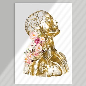 Anatomical Art, Human Anatomy Poster, Gift for Doctor, Medical Office ...