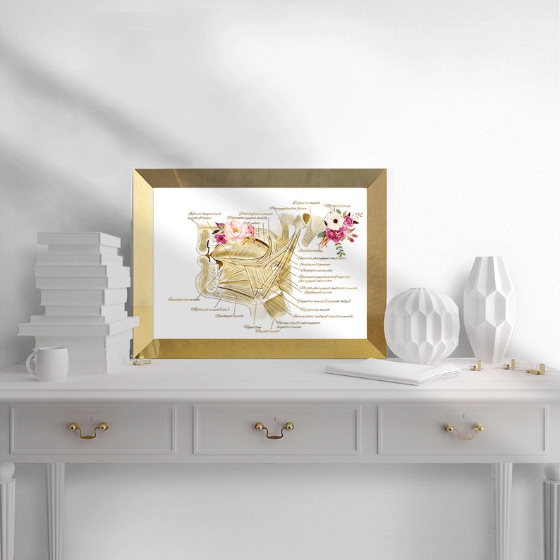 Tongue Muscles Artspeech Language Pathologist Gift Speech - Etsy