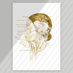 Woman Facial Muscles Posters Human Anatomy Printable Art - Etsy