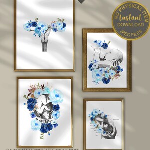 Midwife Student Gift Set, Midwife Office Wall Art, Floral Uterus Prints ...