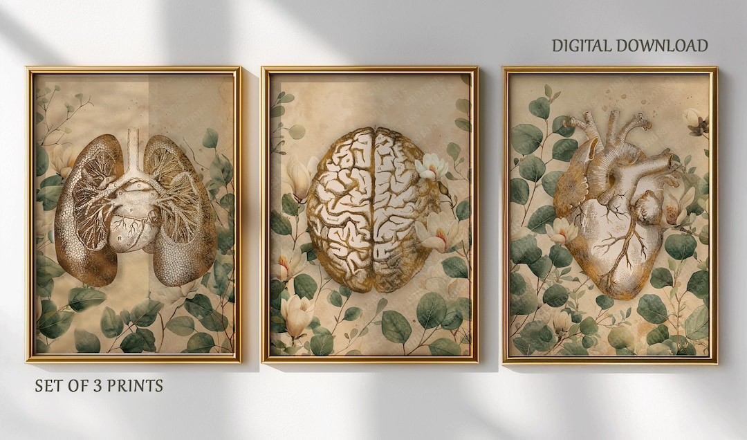 Anatomy Art Set of 3, Anatomy Wall Art Prints Lungs Brain Heart ...