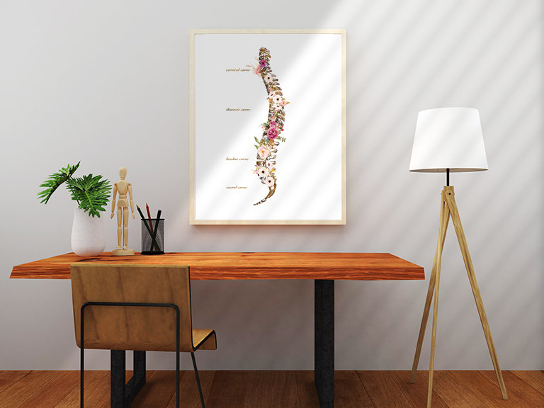 Spinal Cord Anatomy Art Chiropractic Art Vertebral Column | Etsy