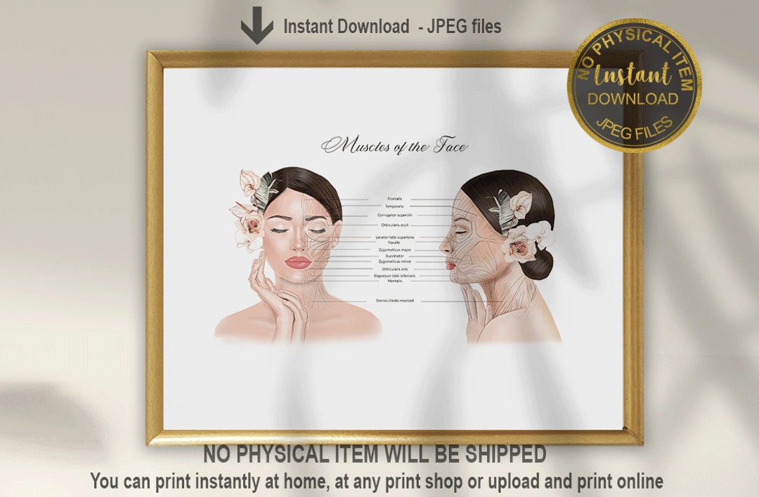 Facial Muscles Poster, Esthetician Office Art, Esthetician Print ...