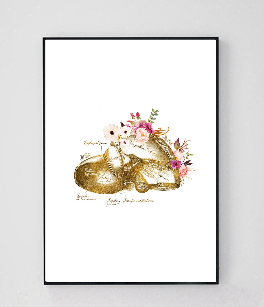 Floral Liver Art Surgeon Gift Gastroenterology System | Etsy