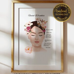 Facial Wrinkles Chart Print Esthetician Decor Skin Cllinic - Etsy