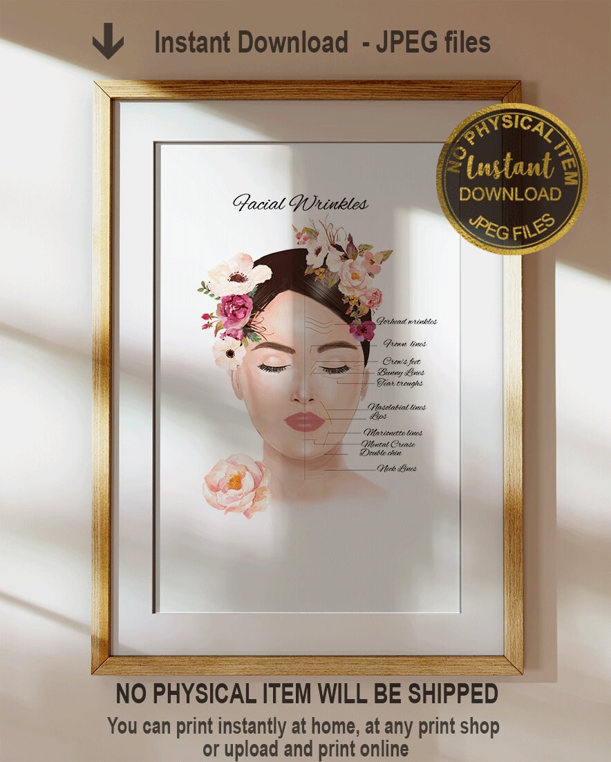 Facial Wrinkles Chart Print Esthetician Decor Skin Cllinic - Etsy
