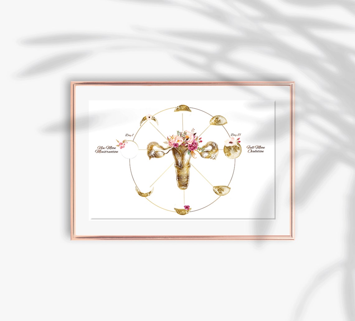 Uterus Print Menstrual Cycle Art Obstetrician Art Print | Etsy UK